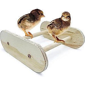 Backyard Barnyard Chick Perch and Mini Chicken Roosting Bar Set (2 Pack) Made in USA!!! Strong Natural Wood Jungle Gym Toys for Brooder and Coop Baby Birds Pollos Gallinas