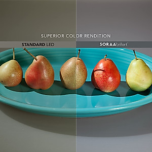 SORAA Brilliant PAR20 8W Dimmable 2700K 10 Degree Narrow Spot Light Bulb