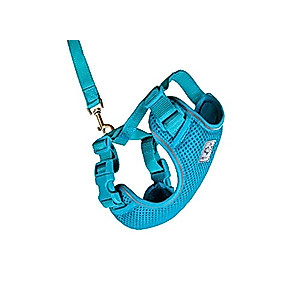 RC Pet Products Adventure Kitty Harness, Cat Walking Harness, Medium, Teal (53804015)