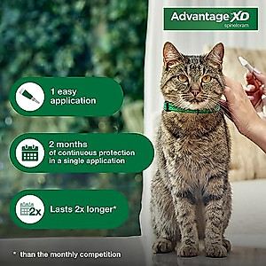 Advantage XD Small Cat Flea Prevention & Treatment For Cats 1.8-9lbs. | 1-Topical Dose, 2-Months of Protection Per Dose