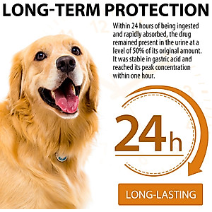 Quercetin for Dogs | Quercetin with Vitamin C for Dogs | Quercetin for Dogs Allergies | Quercetin Dog | Dogs Quercetin Supplement | Support Balanced Immune System | 60ml 2.02 fl oz