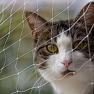 YOKMO Cat Balcony Net Cat Anti-Fall Fence Net Dog Fence Nets Transparent Nylon Pet Mesh Fence Anti-Fall Netting for Balcony Window Stairs Netting for Balcony Window Stairs（1033ft
