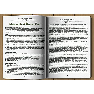 The Lost Book of Herbal Remedies