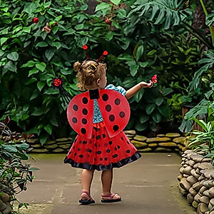 WILDPARTY Girl Ladybug Costume Set with Ladybug Wings, Tutu, Magic Wand, Headband Costume Set LadyBugDress-Suit-A made in China
