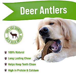 Buck Bone Organics Dog Chews, Deer Antlers for Dogs, Long Lasting Dog Bones for Aggressive Chewers, All Natural, No Preservatives, Wild Shed in The USA, Med/Large