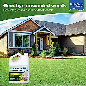BioSafe Systems 7601-1, BioSafe Weed & Grass Killer Concentrate for Organic Gardening, Environment and Pet Friendly, Water Soluble, Kills On Contact, 1 Gallon