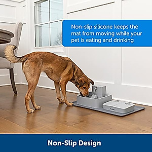 PetSafe Fountain and Feeder Mat, for Dogs and Cats, Silicone Food and Water Placemat, 26 in X 16 in, Waterproof, Dishwasher Safe, Pet Food Mat with Lip