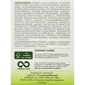 Garnier SkinActive Gel Face Moisturizer with Hyaluronic Acid, 1.7 Ounce