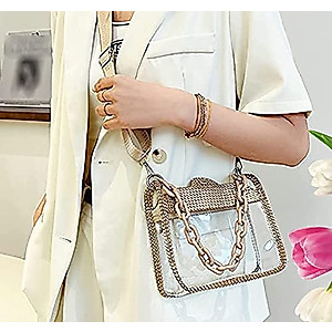 WANLD Clear Women's Crossbody Bag, Stadium Approved - Concert Event Transparent Small Wallet (golden)
