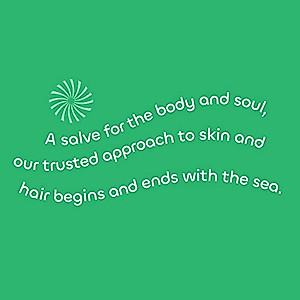 Seaweed Bath Co. Detox Shampoo, Rosemary Mint Scent, 12 Ounce, Sustainably Harvested Seaweed, French Sea Clay, Apple Cider Vinegar, For All Hair Types