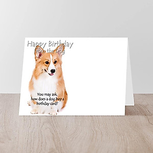 CafePress From The Corgi Birthday Card Folded Greeting Card Matte