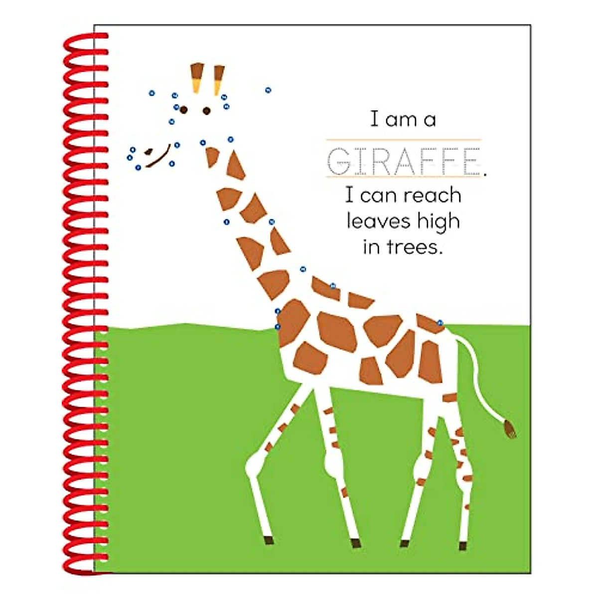 Wipe Clean Dot to Dot Animal Book For Kids 3 - 5 (Start Little Learn Big Series)