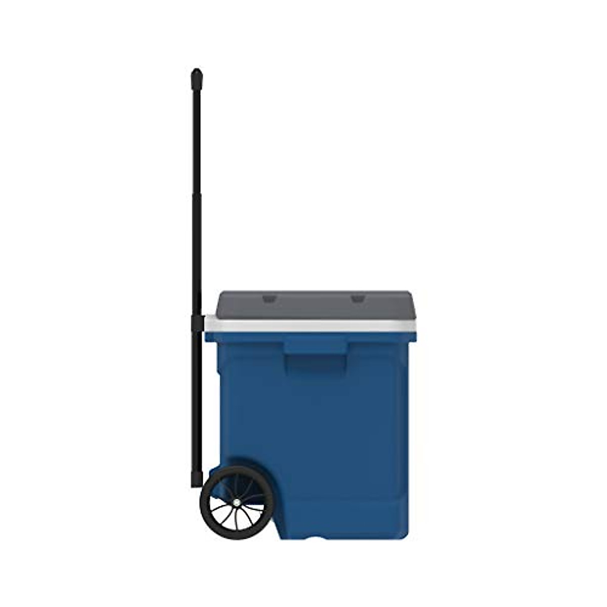 Igloo 00034664 Latitude 60 Roller Indigo Blue, White, Meteorite, Black