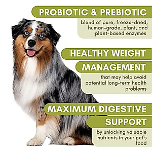 Wholistic Pet Organics: Dog Probiotics and Digestive Enzymes Powder Dog Prebiotic and Probiotic Supplement Prevents Upset Stomach Gut Health Probiotics for Dogs and Puppies Stool Ease for Dogs