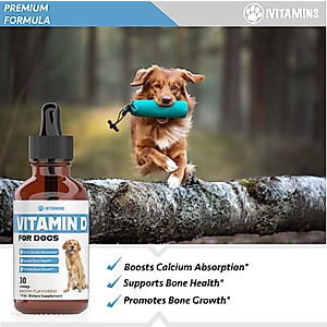 Vitamin D for Dogs | Supports Strong & Health Bones | Vitamin D Supplements for Dogs | Vitamin D Dog | Dog Vitamins and Supplements | Dog Vitamins Multivitamin | Vitamins for Dogs | 1 fl oz