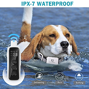 Paws Furlosophy Dog Training Collar with Remote, No Shock Collar for Dogs, 1000ft Remote Control Dog E Collar,3 Training Modes, Suitable for Small, Medium, Large Dogs, IPX7 Waterproof