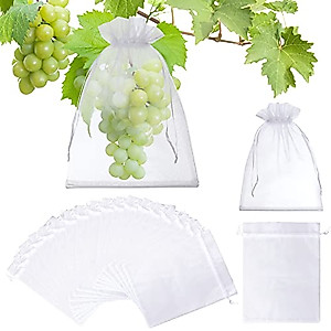 50 Pcs Fruit Protection Bags, 6x9" White Fruit Netting Bags for Fruit Trees Fruit Cover Mesh Bag with Drawstring, Netting Barrier Bags for Grapes Mango Fruit Trees Veggies Garden