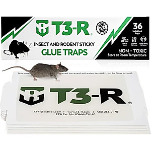 T3-R ​​Sticky Large Rat & Mice Glue Traps | Mouse and Insect Glue Boards | Disposable Non-Toxic Glue Traps for Mice and Rats | Peanut Butter Scent Sticky Traps (36 Pack)