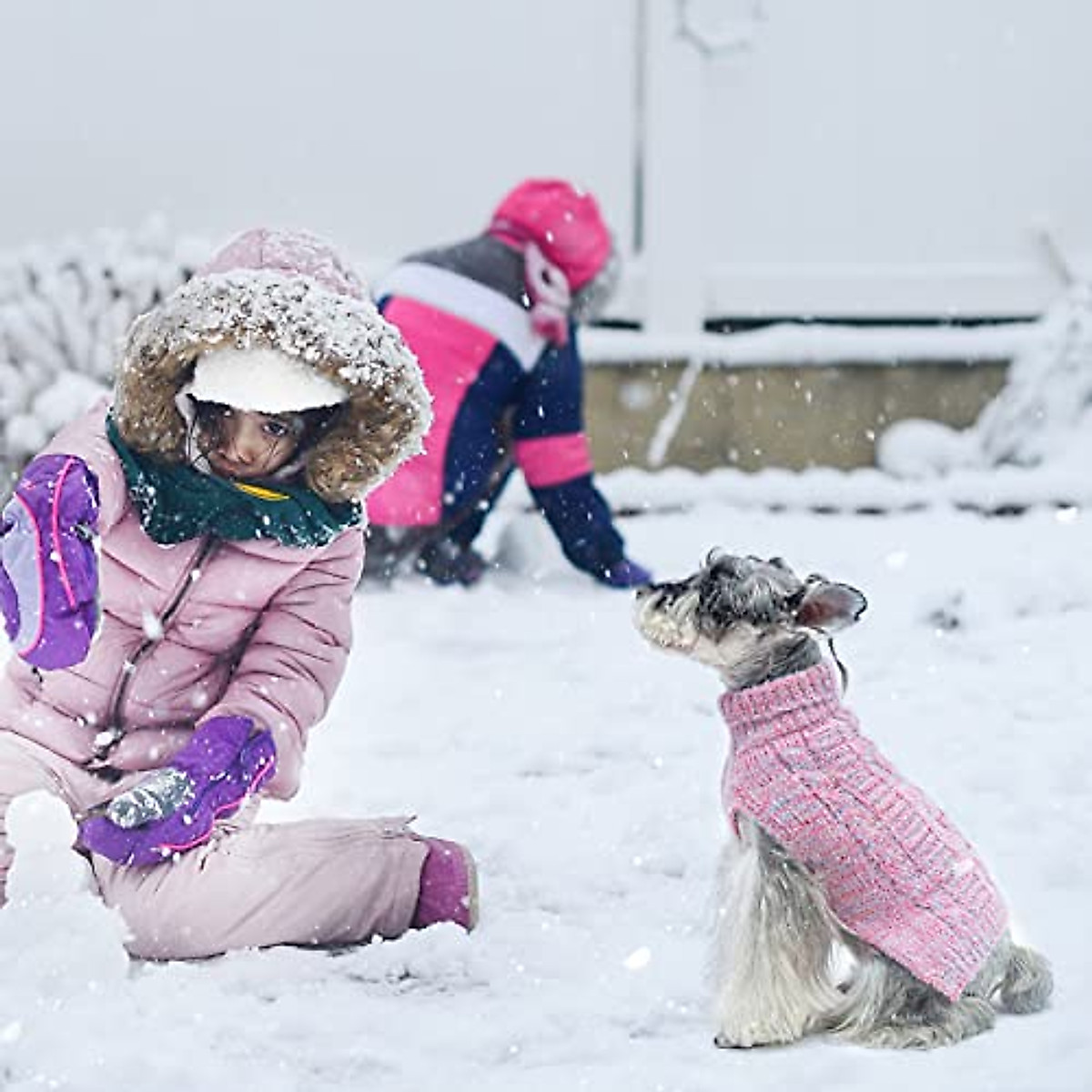 BEAUTYZOO Small Dog Sweater -Turtleneck Pullover Classic Cable Knit Fuzzy Winter Coat Dog Cold Weather Clothes for Small Medium Dogs Puppy Girl Boys(Gradient Rose, XXS)