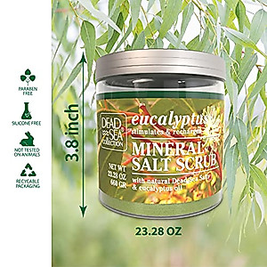 Dead Sea Collection Salt Body Scrub - Large 23.28 OZ - with Eucalyptus - Exfoliating Effect - Includes Organic Essential Oils and Natural Dead Sea Minerals