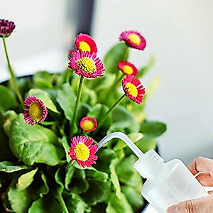 ZOND 3 Pack 250ml Succulent Water Bottle, Bonsai Watering Bottle, Squeeze Bottle for Multi-Purpose Makeup Liquids