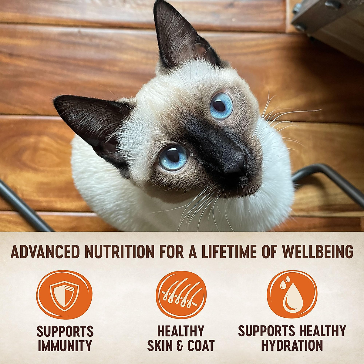 Wellness CORE Tiny Tasters Pate Adult Wet Cat Food, Natural, Protein-Rich, Grain Free, 1.75 Ounce Pouch, 12 Pack (Chicken)