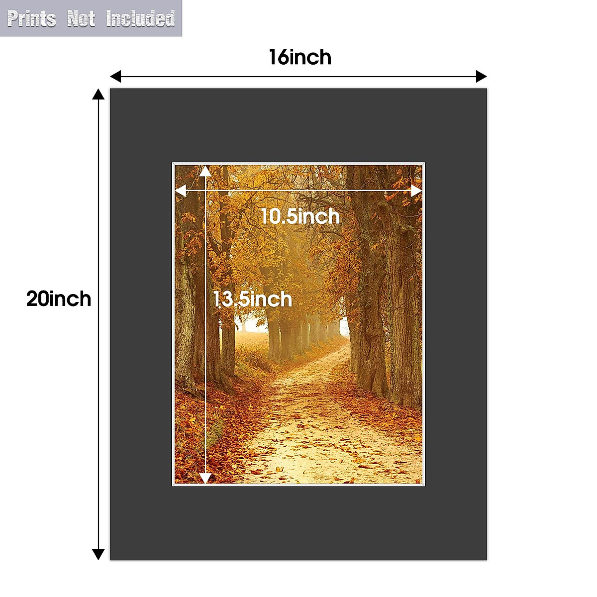 Golden State Art, Pack of 25, Acid-Free Black Pre-Cut 16x20 Picture Mat for 11x14 Photo with White Core Bevel Cut Frame Mattes
