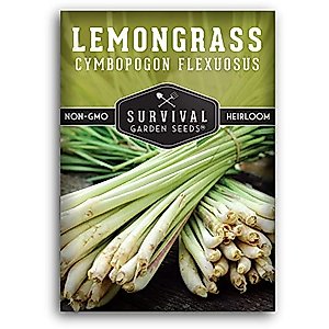 Survival Garden Seeds - Lemongrass Seed for Planting - Packet with Instructions to Plant and Grow Lemon Fresh Asian Lemongrass Plants in Your Home Vegetable Garden - Non-GMO Heirloom Variety