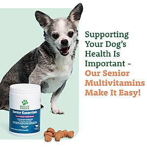 Doggie Dailies Senior Essentials Multivitamin for Dogs Soft Chews | Advanced Dog Multivitamin | Nutritional Support for Joints, Skin & Coat, Digestion, and the Immune System | Bacon Flavor | 120 Count