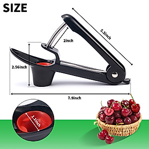 2 Packs Cherry Pitter Tools, Cherry Seed Core Remover Olives Pitter Tool, Stainless Steel Cherries Corer with Space-Saving Lock Design (Black & Green)
