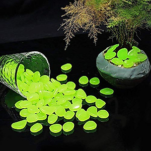 Ebliiny 500 Pcs Glow in The Dark Garden Pebbles, Gardening Luminous Glow Stones Outdoor Decor Glowing Water Fish Tank Gravel (Green)