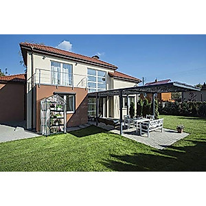 Home-Complete Mini Greenhouse-4-Tier Indoor Outdoor Sturdy Portable Shelves-Grow Plants, Seedlings, Herbs, or Flowers In Any Season-Gardening Rack, Green