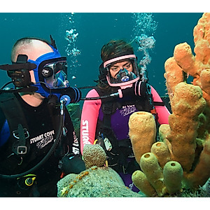 OTS Guardian Full Face Mask (Black Skirt/Black Hardware)