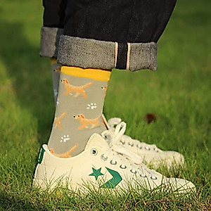 Knapfold Men's Golden Retriever Socks Funny, Dog Lovers Gifts, Novelty Casual Crew Socks