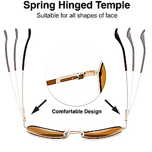 The Fresh Sunglasses for Men, Polarized, Rectangular Metal Frame, Ultra Lightweight, UV400 Protection (1-Gold, Brown)