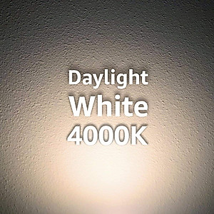 Euri Lighting EA19-15W2040e, LED A19 15W (100W Equivalent), 1600lm, Dimmable, 4000K (Bright White) E26 Base, Fully Enclosed Rated, Damp Rated, UL & Energy Star, 3YR 25K HR Warranty