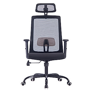 Whiterye Office Chair Lumbar Support Mesh Office Chair Swivel Desk Chair with Adjustable headrest and Armrest Ergonomic High Back Office Chair,Black.