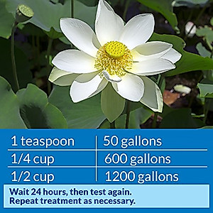 API POND pH DOWN Pond Water pH Reducing Solution 16-Ounce Bottle, White, Model:170B