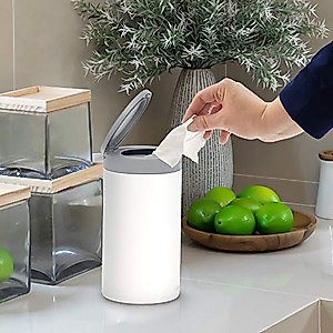Spectrum Diversified Decorative Refillable Wet Dispenser for Household, Stylish Holder for Cleaning Wipes, Extra Large, White