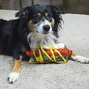 Doggijuana | Refillable Catnip Dog Toy | Naturally Calming | Catnip Grown in The USA (Hot Dog)