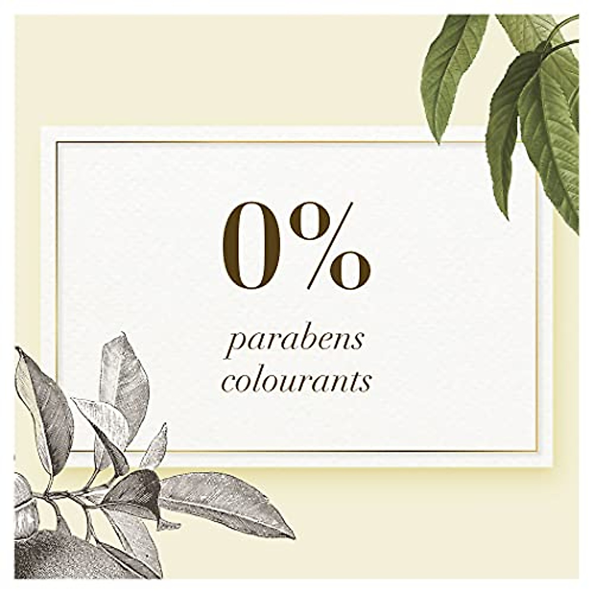 Herbal Essences Bio: Renew White Grapefruit & Mosa Mint Conditioner, 4 Count