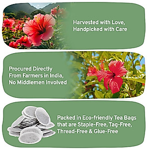 HANDPICK, Hibiscus Tea Bags - 100 Count | Caffeine-Free, Pure Ingredients - Hibiscus Flowers | Brew Hot, Iced Tea or Kombucha Tea | Round Nutritious Herbal Tea Bags