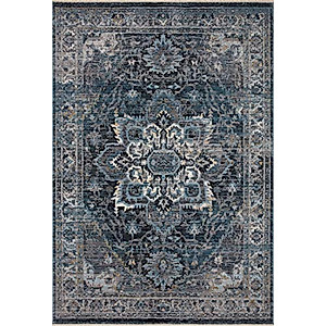 Loloi II Samra SAM-01 Denim Transitional Area Rug 7'-10" x 10'