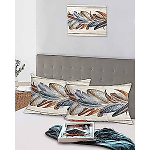 Edwiinsa Brown Blue Feather Pillow Covers Standard Size Set of 2 Bed Pillow, Farmhouse Wooden Striped Grain Plush Soft Comfort for Hair/Skin Cooling Pillowcases with Envelop Closure 20''x26''