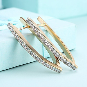 14K Gold Plated Cubic Zirconia Hoop Earrings For Women Men Fashion CZ Earrings