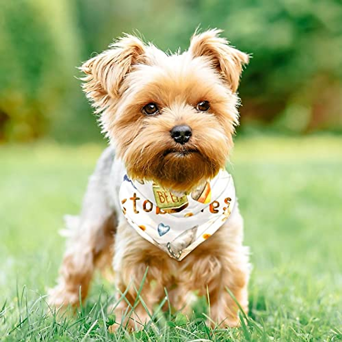 LEVEIS 2 Pack Dog Bandana Oktoberfest Pattern Girl Boy Pet Bibs Dog Scarf Kerchief Washable Bandanas Accessories for Small Medium Large Dogs Puppy Cat Pet, 40.6x40.6x58/16x16x22.8in (cwwb-001)