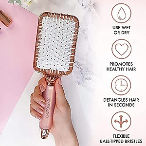 Paddle Brush for Detangling, Blowdrying and Straightening - Professional Large Hair Brush All Hair Types, Rose Gold Hairbrush for Women by Lily England Rose Gold Black