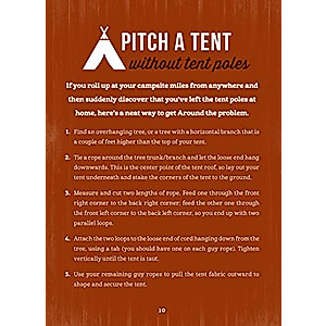 How to Send Smoke Signals, Pluck a Chicken, & Build an Igloo: Plus 75 Additional Skills You Never Knew You Needed (Fox Chapel Publishing) Life Skills with Step-by-Step Directions and a Sense of Humor