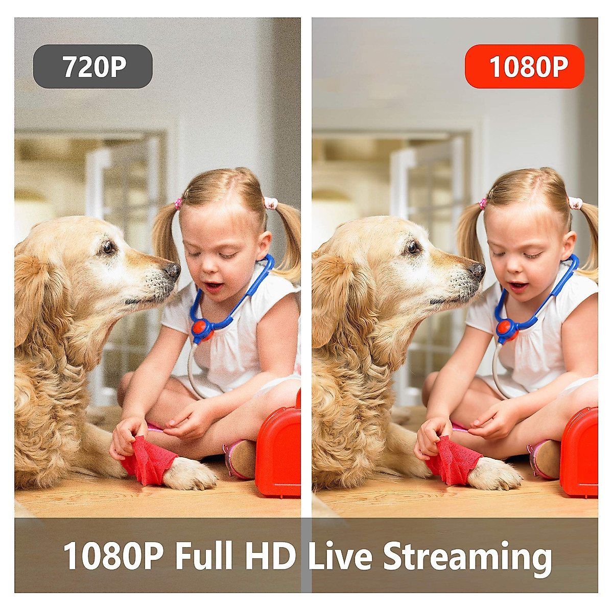 LaView Security Cameras for Home + 2X 32GB SD Cards,PT Home Security Camera System with Motion Detection,Two-Way Audio,Night Vision,Indoor WiFi Camera for Baby/pet,Alexa,USA Cloud Service