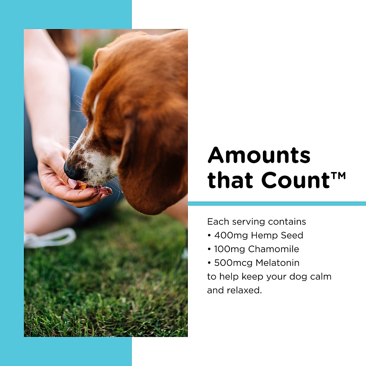 Nutri-Vet Hemp Calming Soft Chews for Dogs- with Chamomile and Melatonin - Peanut Butter & Honey Flavor - 12.7 Ounces